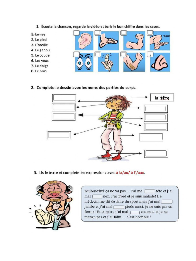 Parties Du Corps Et Avoir Mal 6º Primaria | PDF
