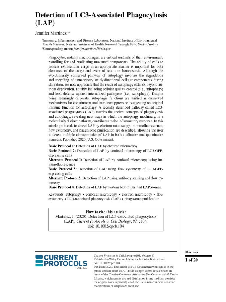 CP Cell Biology - 2020 - Martinez - Detection of LC3 Associated Phagocytosis LAP | PDF | Flow ...