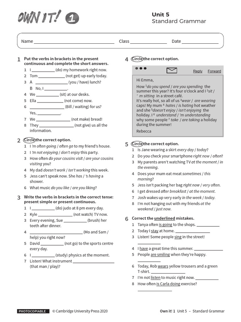 Standard Grammar Unit5 Without Answers | PDF
