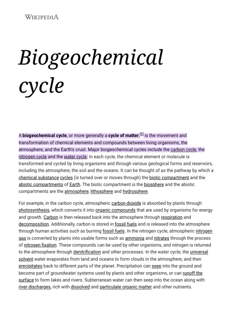 Understanding Biogeochemical Cycles | PDF | Carbon Cycle | Ecosystem