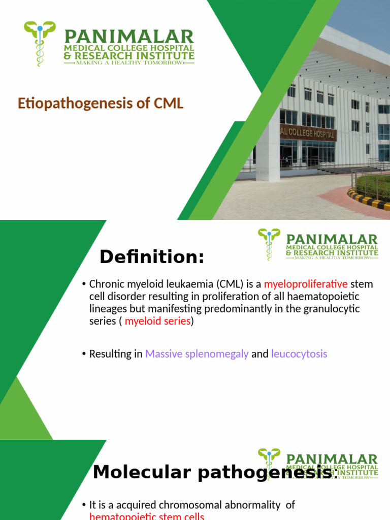 Mahathi CML | PDF | Finance & Money Management