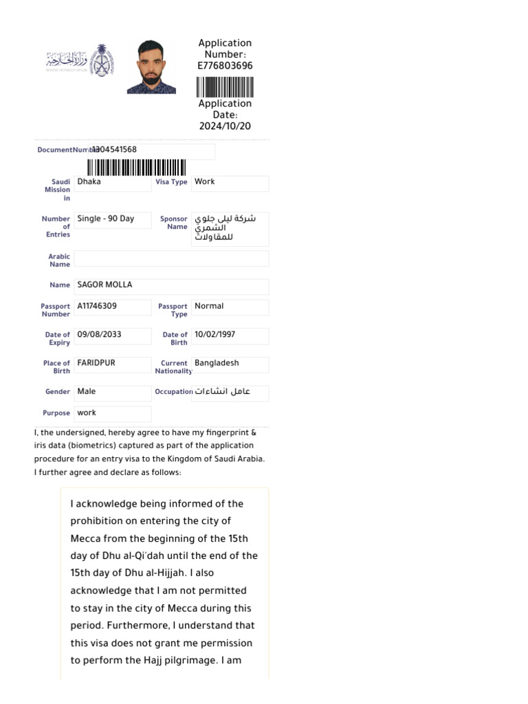 Visa Platform | PDF | Travel Visa | Saudi Arabia