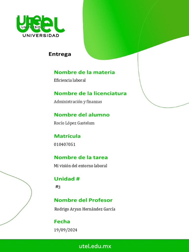 Mi visión del entorno laboral | PDF | Negocios