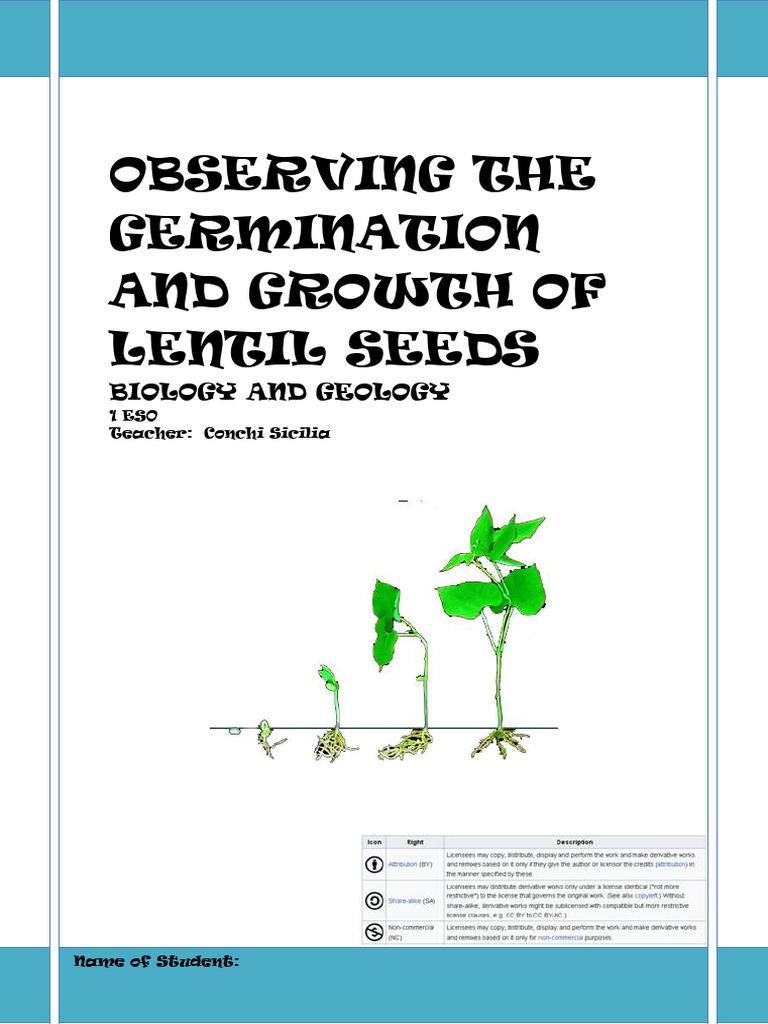 Lentil Seed Germination Project Guide | PDF | Seed | Germination