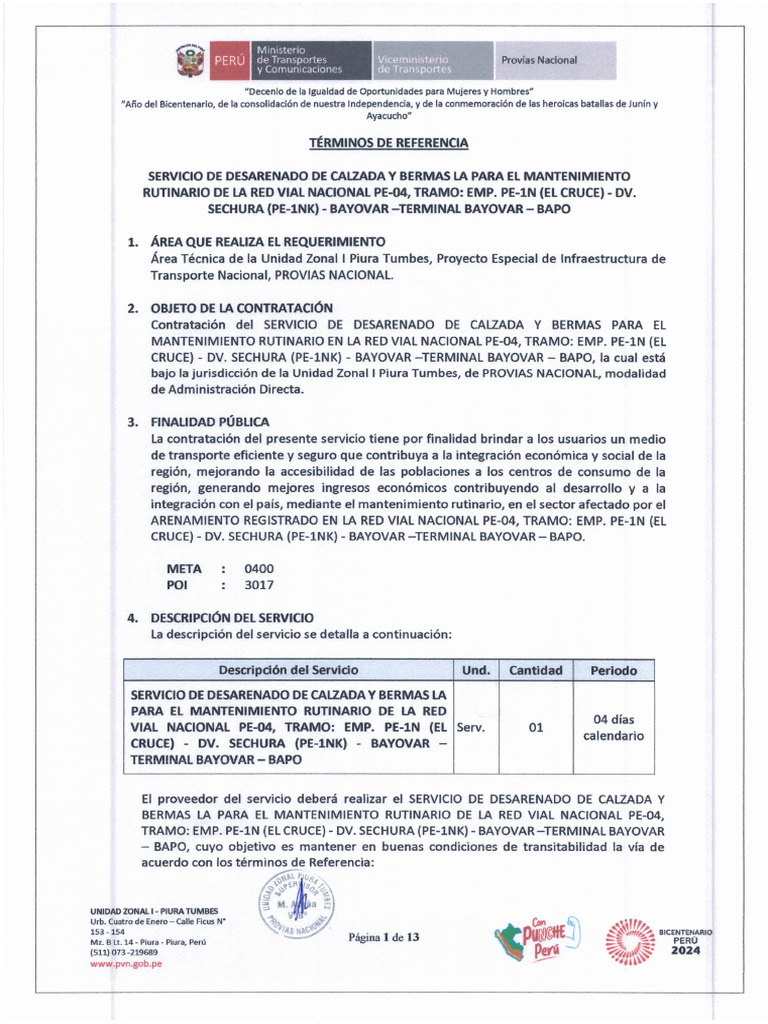 TDR - Formato de Proceso | PDF