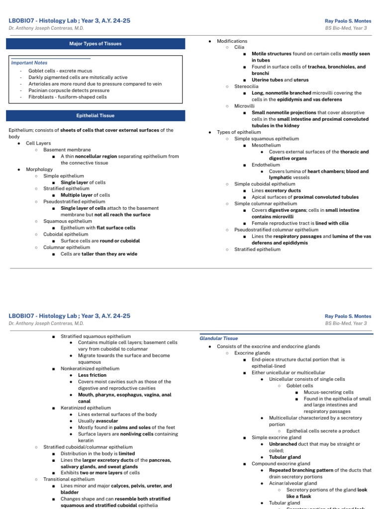 Histo Lab | PDF | Epithelium | Axon