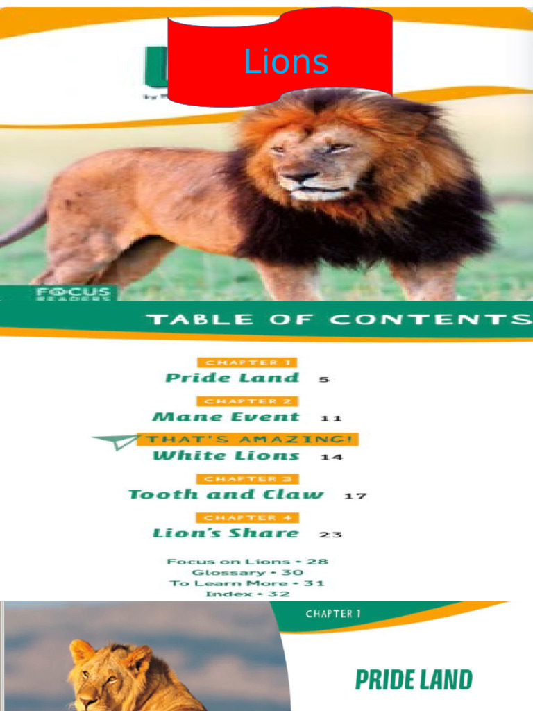 Lions | PDF