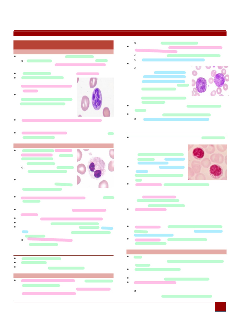 Alder-Reilly Anomaly in WBC Disorders | PDF | White Blood Cell ...