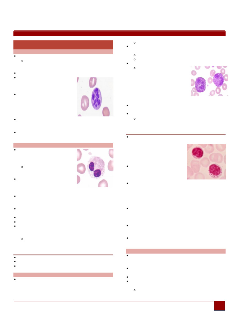 Mlshem1c L7.2 WBC Abnormalities | PDF | White Blood Cell | Granulocyte