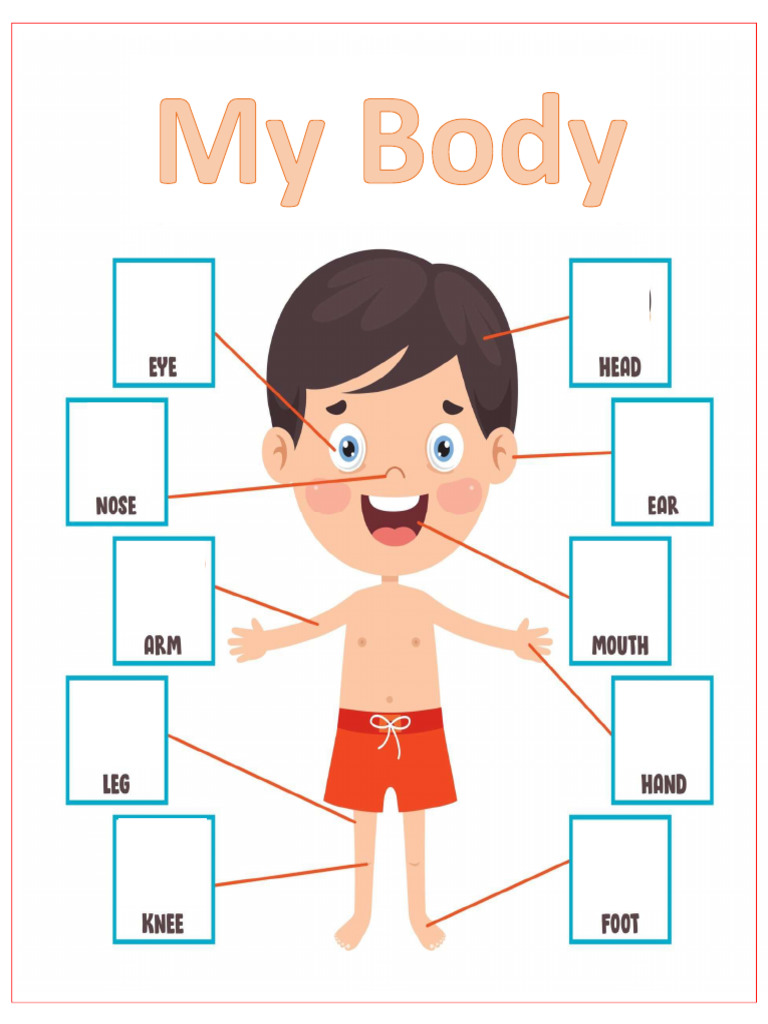 My Body | PDF