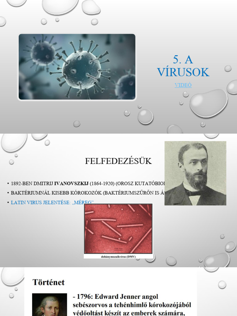5 Vírusok | PDF