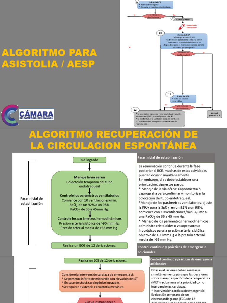 Algoritmo para Asistolia / Aesp: No Si | PDF | Reanimación ...