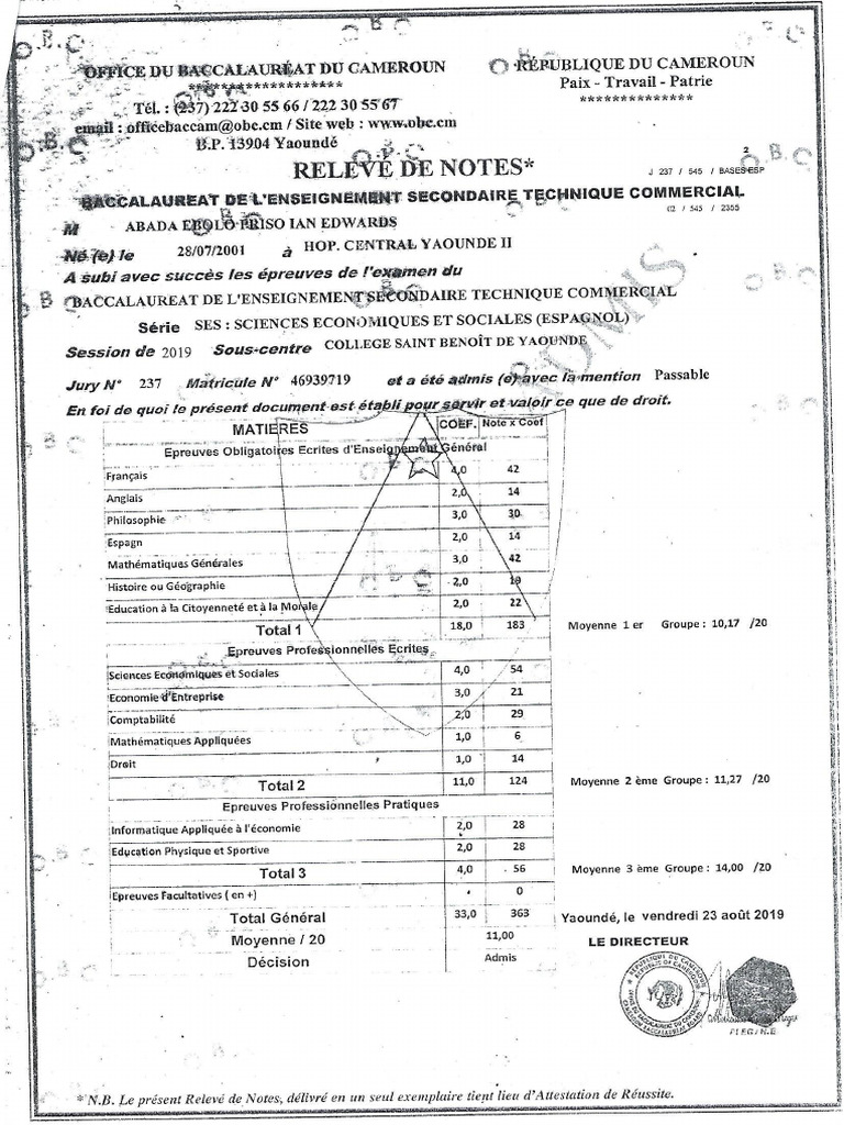 Releve de Note Du Bac | PDF