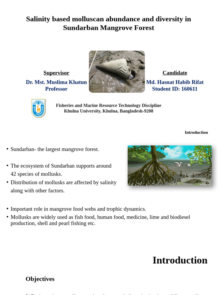 Thesis Presentation | PDF | Mangrove | Ecology