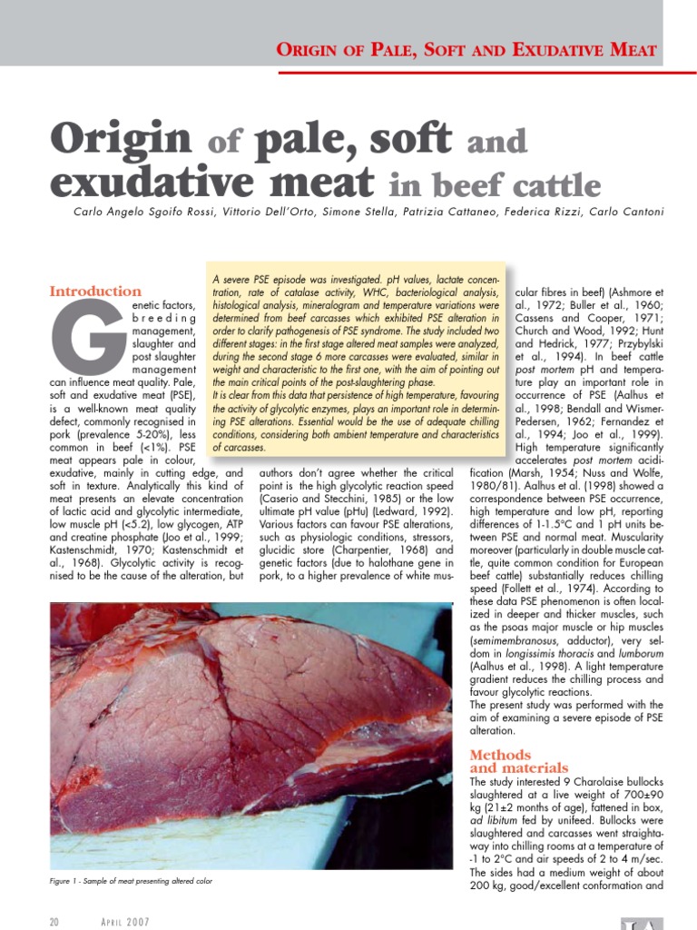 Origin of Pale Soft and Exudative Meat in Beef Cattle | Meat | Food And ...