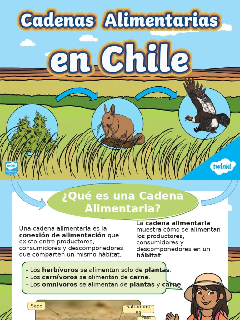 Powerpoint Cadenas Alimentarias en Chile - Ver - 3 | PDF | Ecología ...