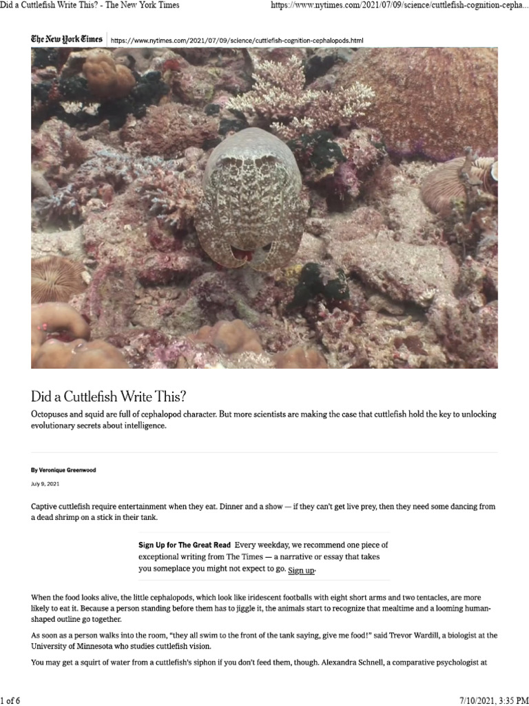 Did A Cuttlefish Write This | PDF