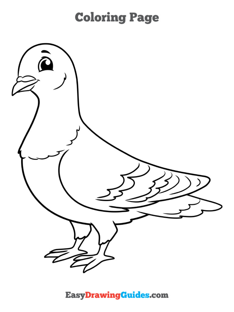 0859 Easy Pigeon Coloring Page | PDF