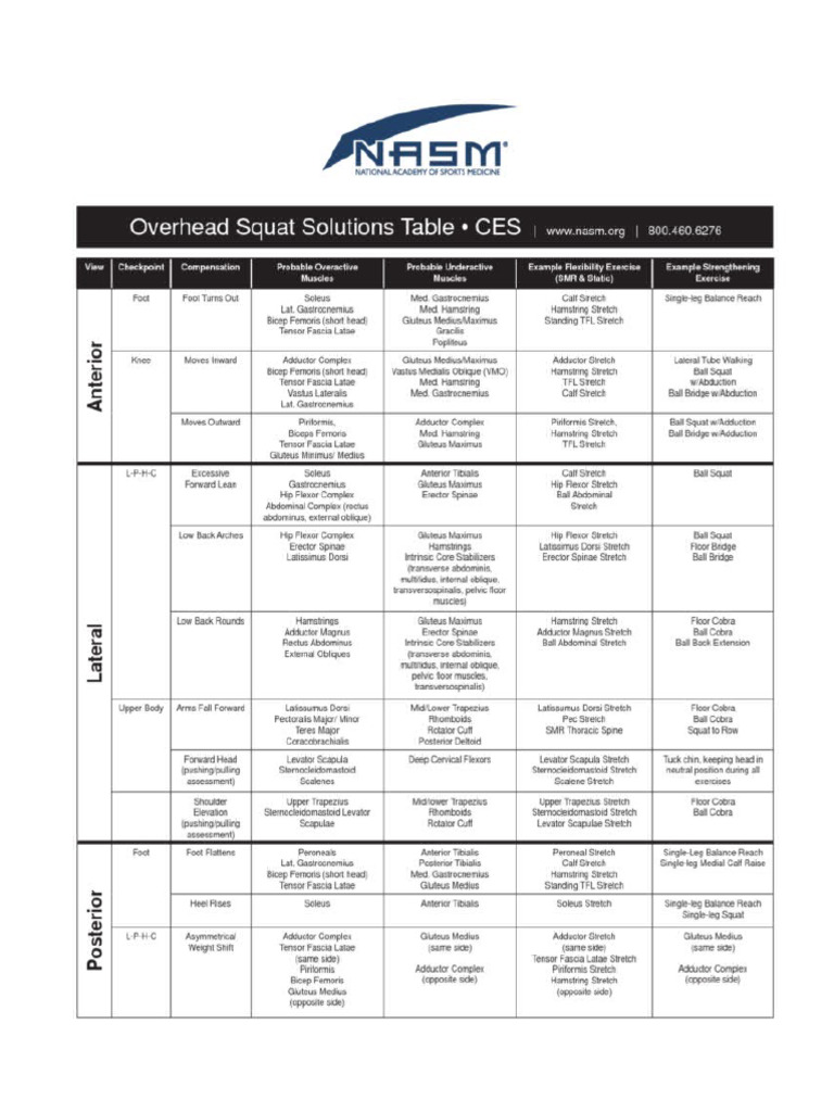 Dance Kinesiology Unit 11 Muscle Imbalance Chart | PDF