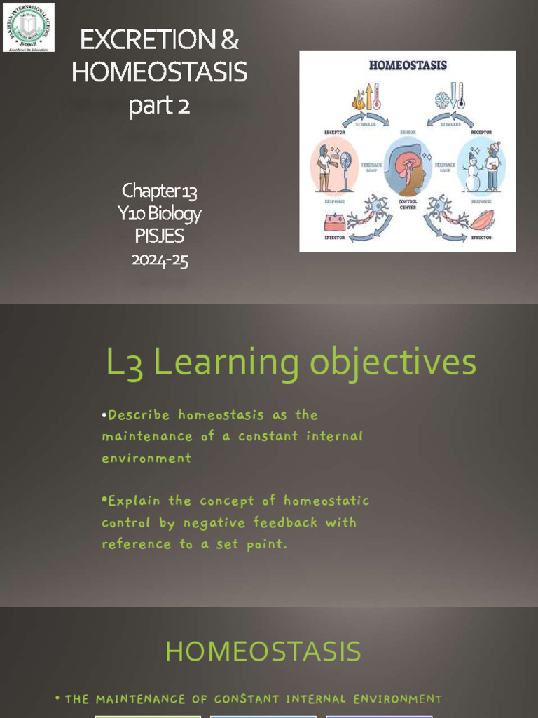 Chapter 13 (2) Excretion and Homeostasis 2024-25 | PDF | Skin | Homeostasis
