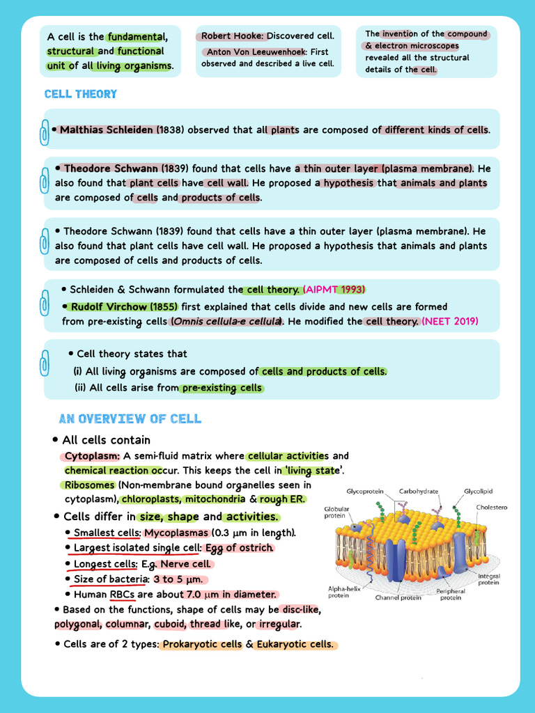 Chap 8 - Cell The Unit of Life | PDF | Cell (Biology) | Eukaryotes