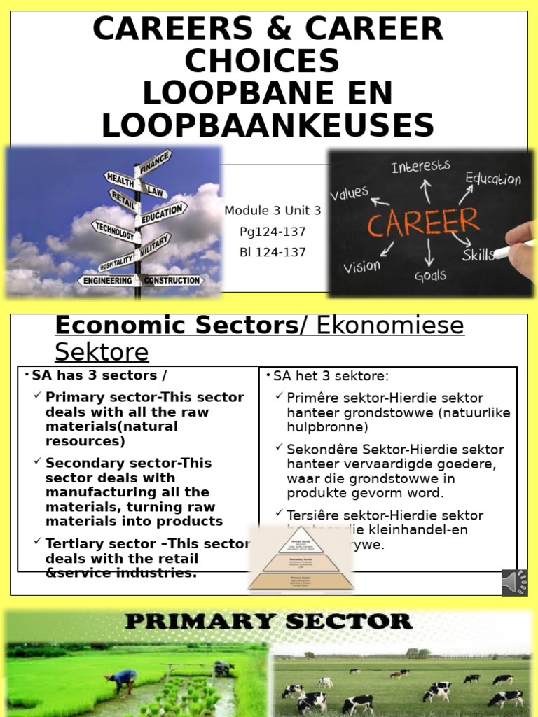 2.careers and Career Choices kw3 | PDF