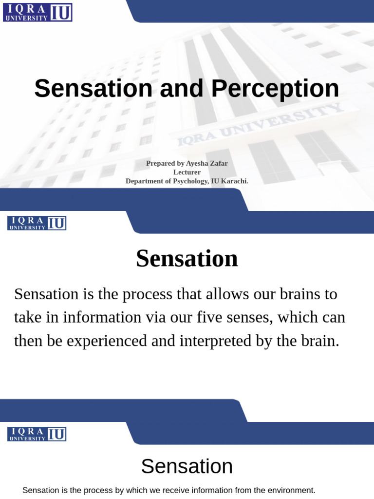 Sensation and Perception Basics | PDF | Senses | Perception