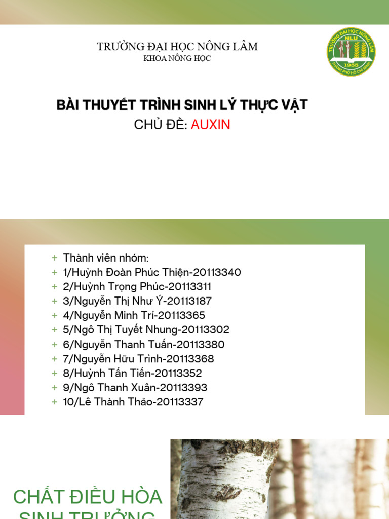 Nhom 6 - T4 Auxin | PDF