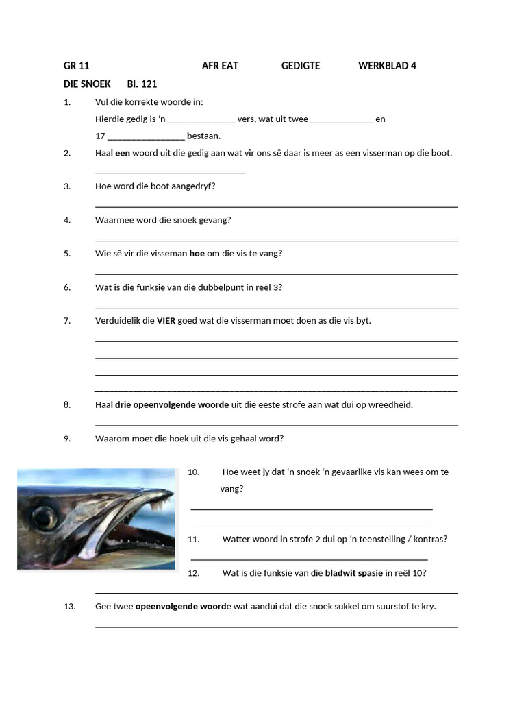 GR 11 Afr Eat Gedigte Werkblad 4 Die Snoek | PDF