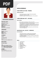 Emirates Cabin Crew CV Sample | PDF