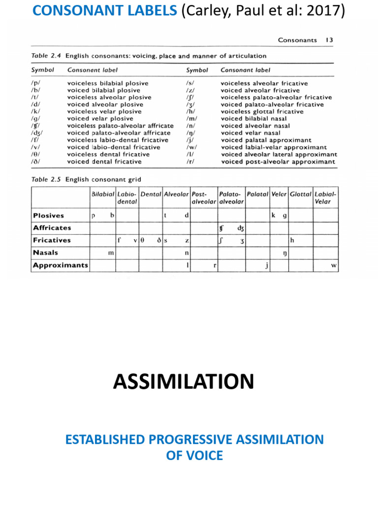 Established Progressive Assimilation of Voice | PDF | Verb | Adjective