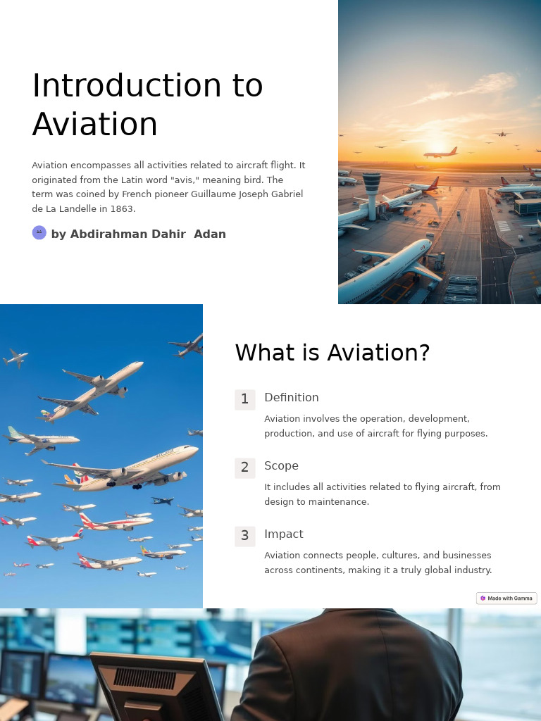 Introduction to Aviation Basics | PDF | Aviation | Airport