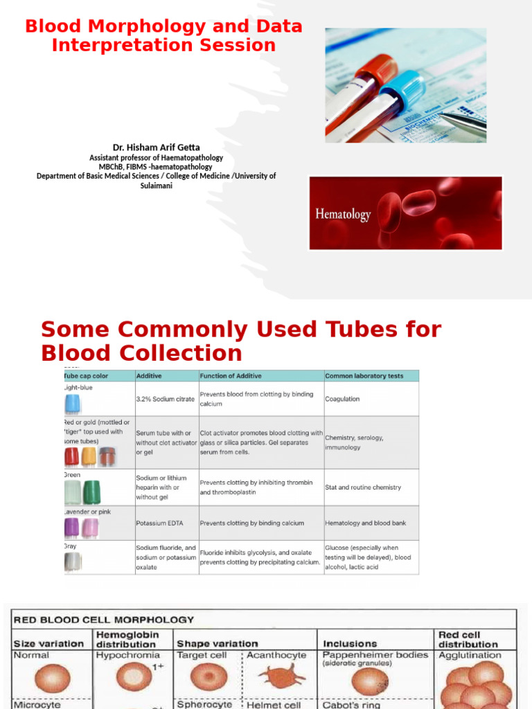 CBC Morphology Interpretation | PDF | Anemia | White Blood Cell