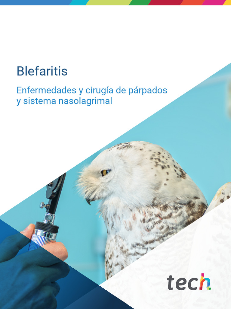 Blefaritis en perros y gatos: causas y tratamiento | PDF ...