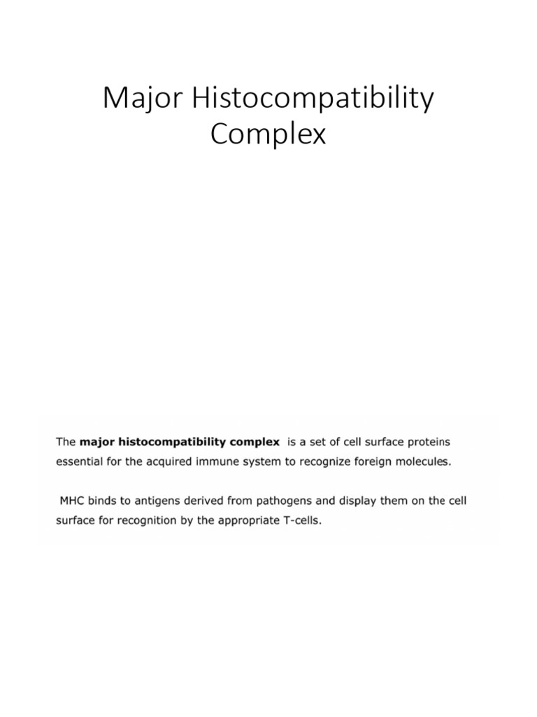 Major Histocompatibility Complex | PDF
