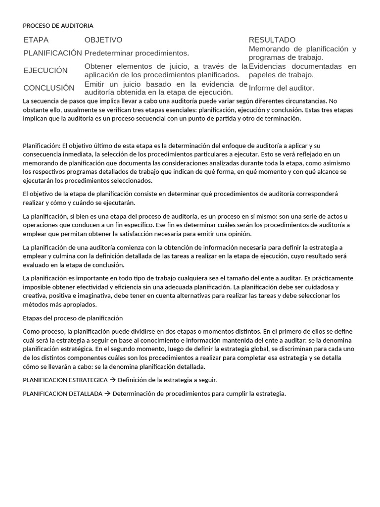 Resumen Slosse | PDF | Planificación | Auditoría