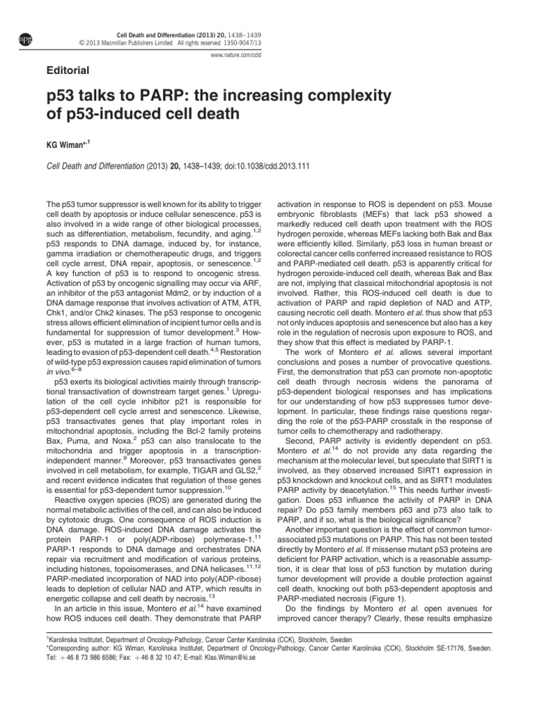 p53 Talks To PARP The Increasing Complexity of p53 Induced Cell Death ...