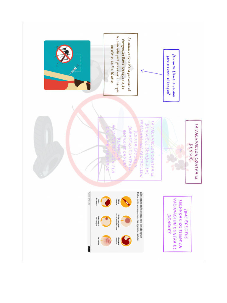 Mosquito | PDF