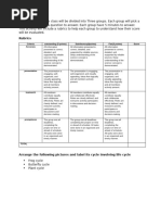 Rubrics For Group Activity | PDF