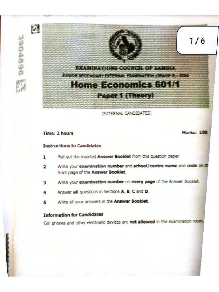Home Economics 2024 External | PDF