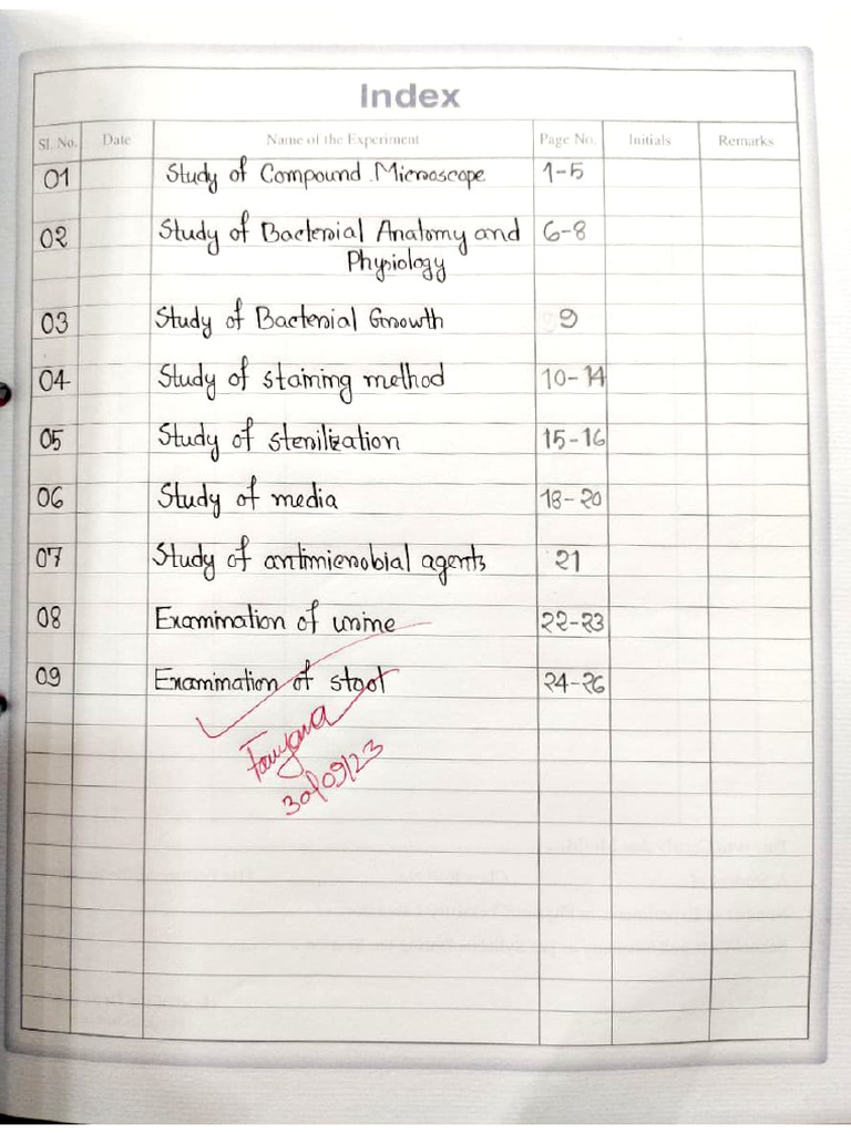 Rity's Micro Prac | PDF