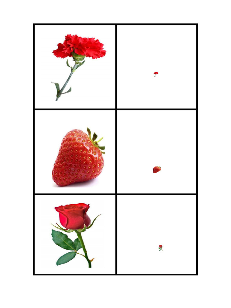 Memory Con Lupa Primavera PDF | PDF