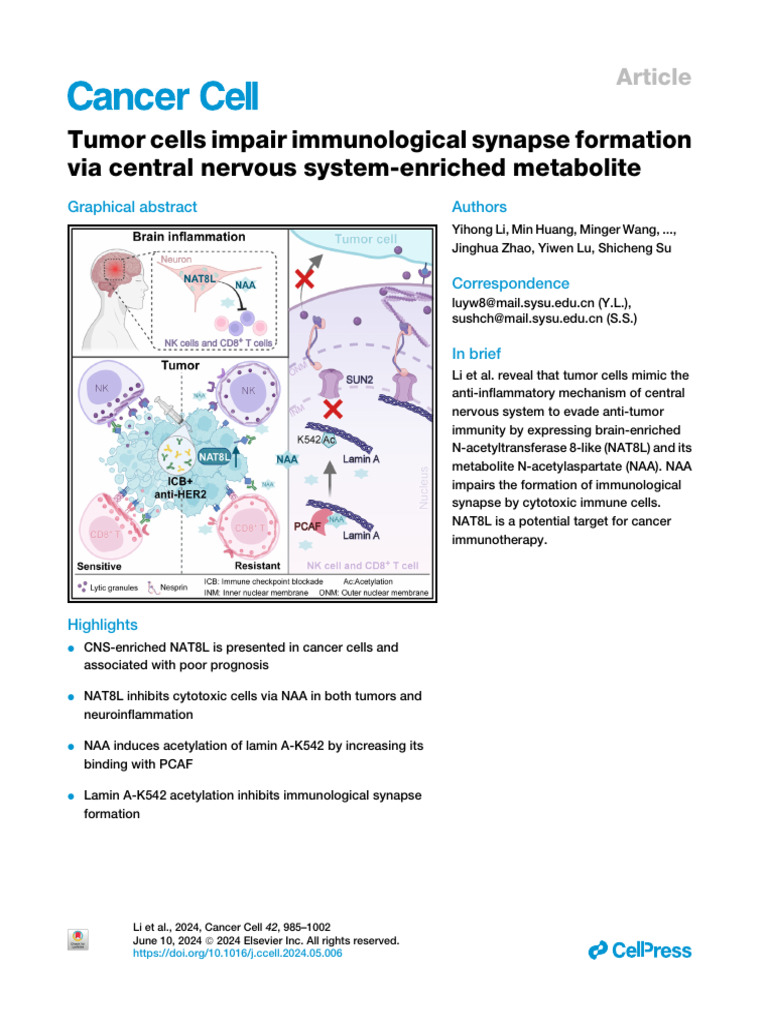 Yihong Li Tumor Cells Impair Immunological Synapse | PDF | Natural Killer Cell | Chemotherapy