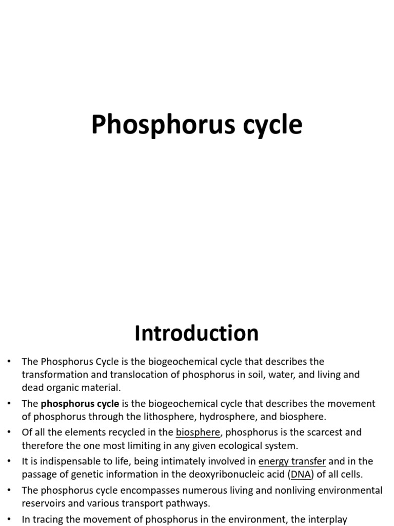 Phosphorus-cycle | PDF | Soil | Phosphorus