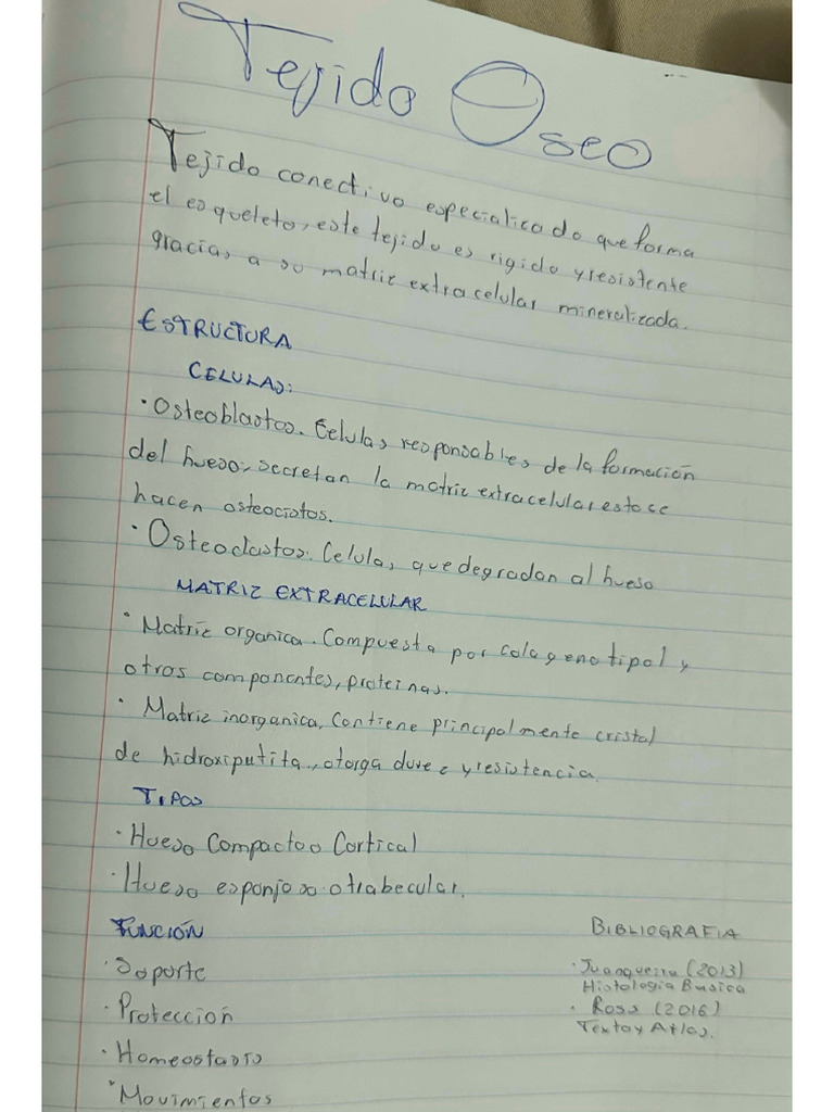 Image To PDF 20241103 19.19.57 | PDF