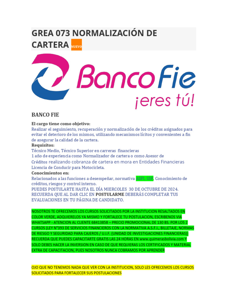 Banco Fie El Alto Normalización de Cartera | PDF