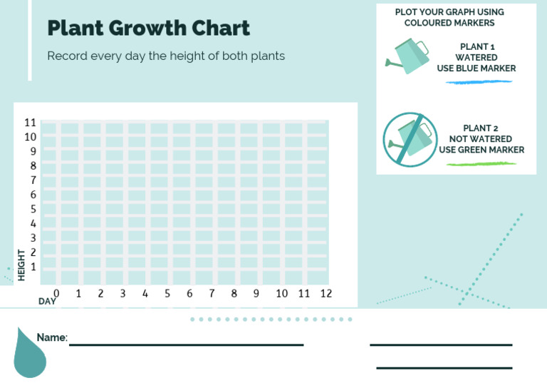 Plant Growth Chart: Record Every Day The Height of Both Plants | PDF