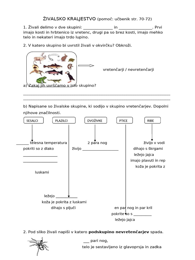 KRALJESTVO ZIVALI Ucni List 1 | PDF