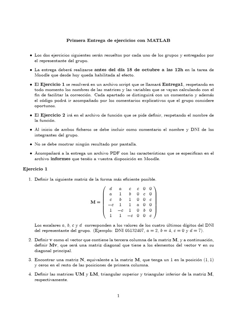 Ejercicios de MATLAB para Entrega 1 | PDF | Matriz (Matemáticas) | Determinante