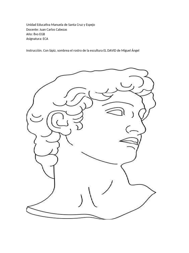 Sombrando el Rostro de El David | PDF